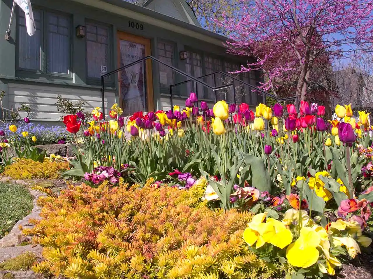 Spring and Estate Planning 2026